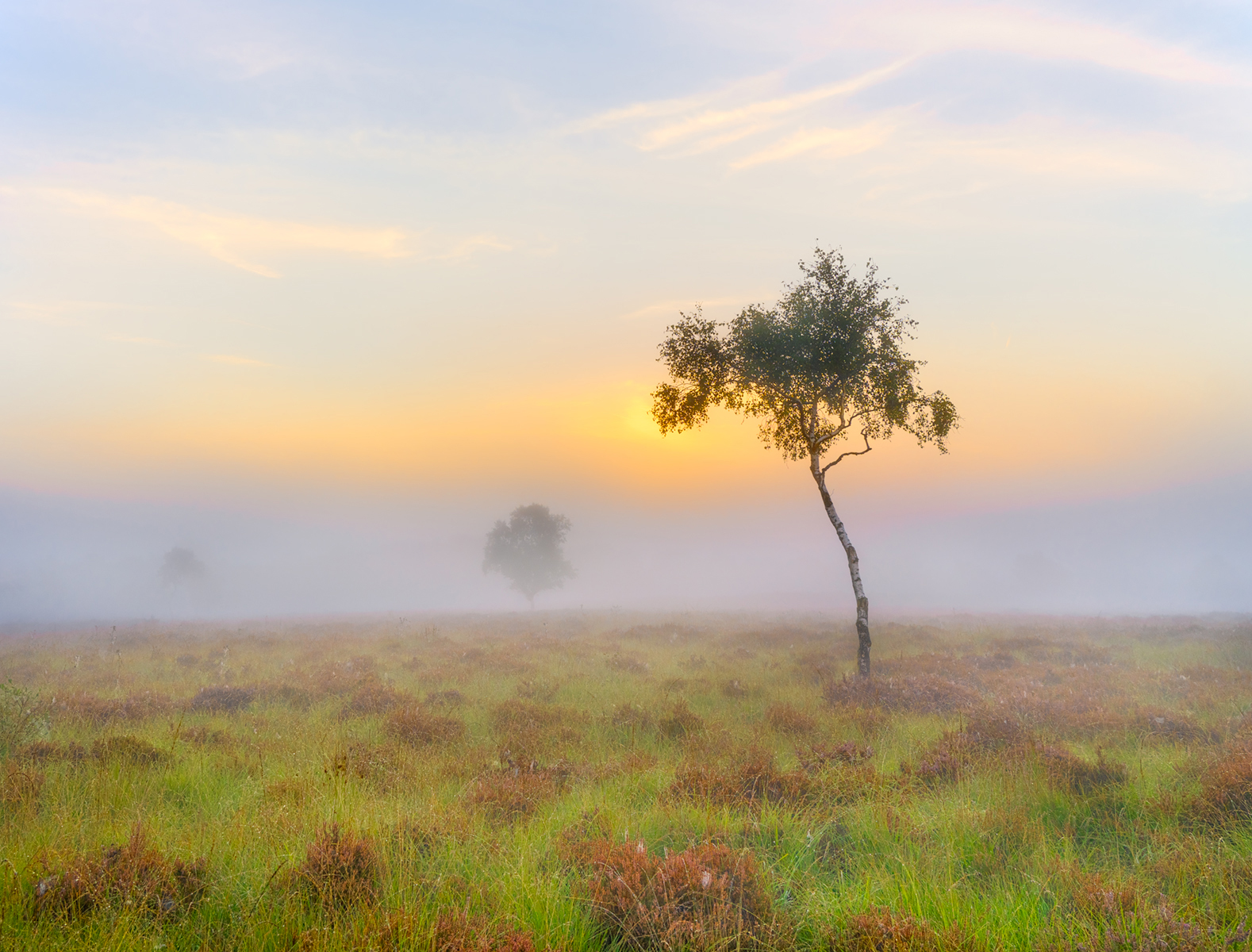 Beeston Camera Club